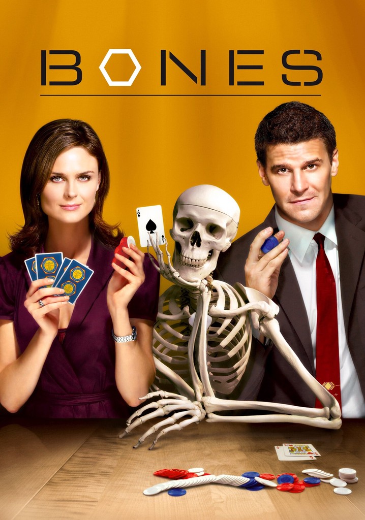 Bones temporada 3 - Ver todos los episodios online